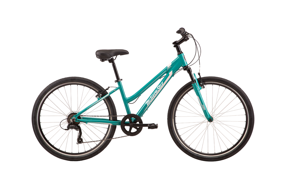Malvern Star Storm 1 Women's Mountain Bike – Bike Central
